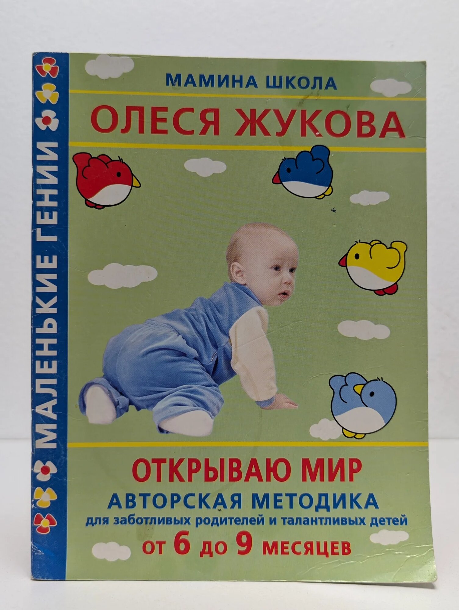 Открываю мир. Авторская методика для заботливых родителей и талантливых детей. От 6 до 9 месяцев Балобанова Валентина Петровна 2005
