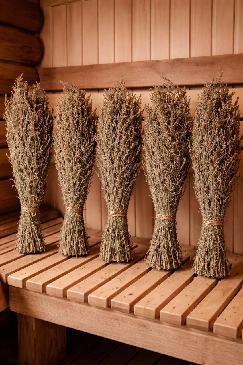 Полынь Горькая 5 веников (свежие крупные пучки)