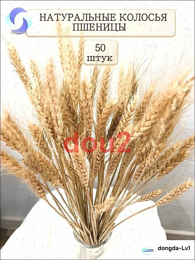 Сухоцветы Пшеница, 120 гр, 50 шт