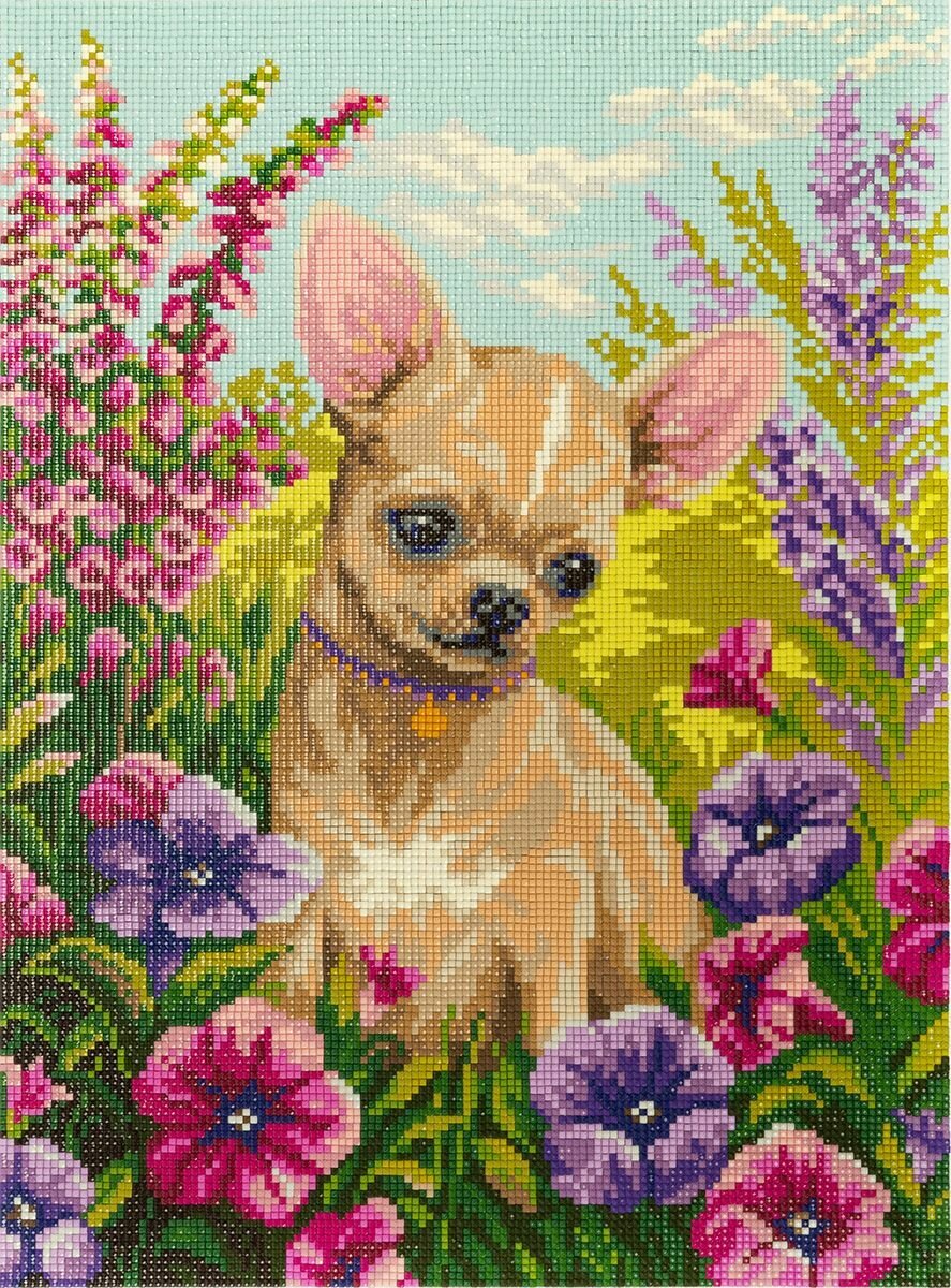 Алмазная мозаика Чихуахуа 30х40 см