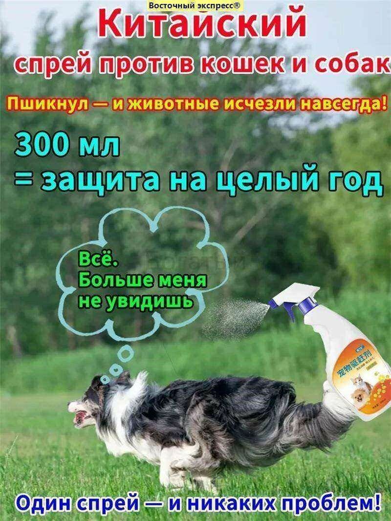 Корректор поведения для животных