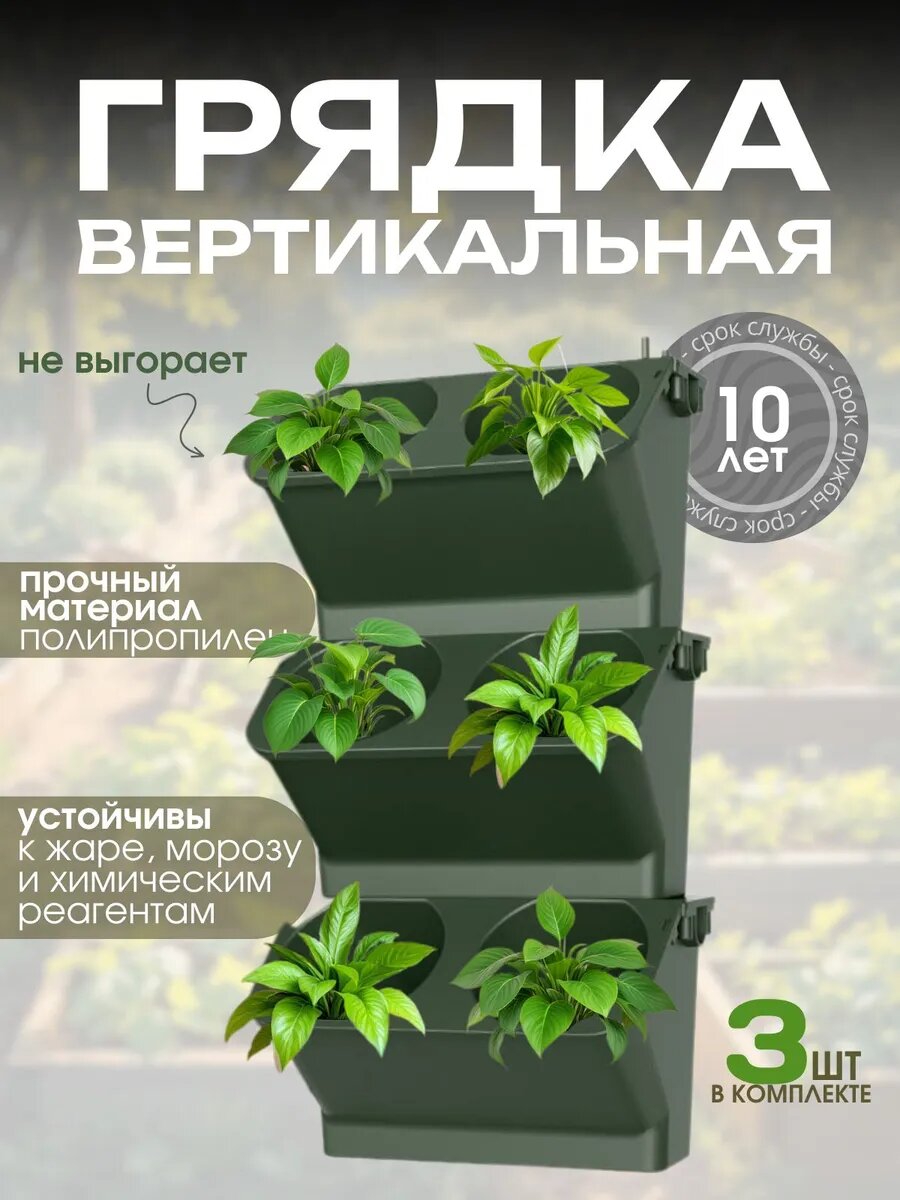 Грядка