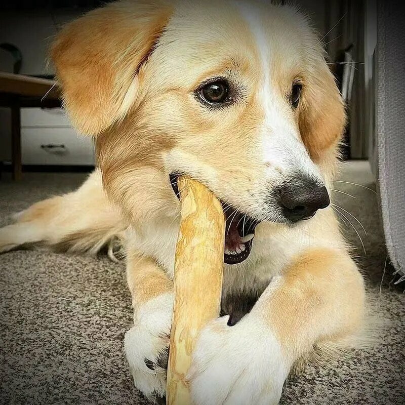 Игрушка для собак COFFEE WOOD "Палочка кофейного дерева"Цвет: Размер M (7,50Kg-17,50 kg; Спецификация: 2 штуки