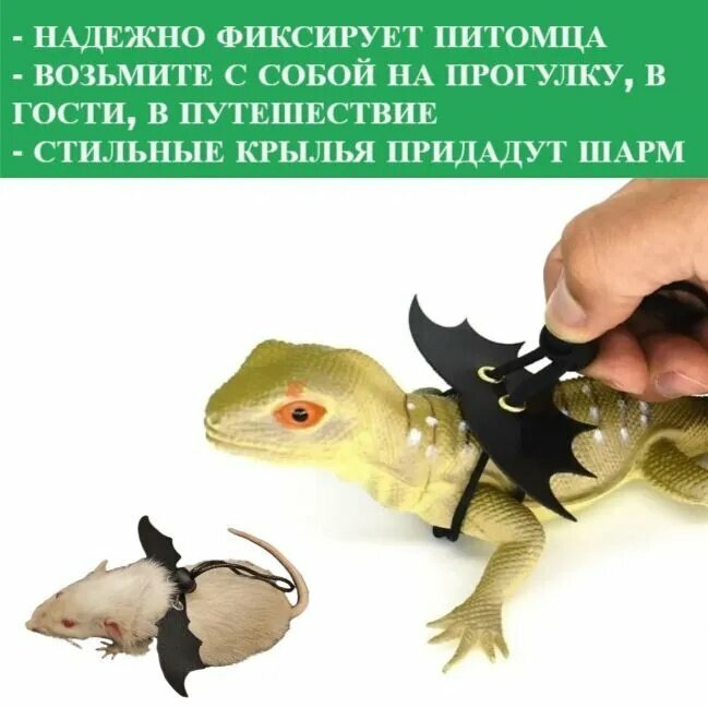 Шлейка — фото 1