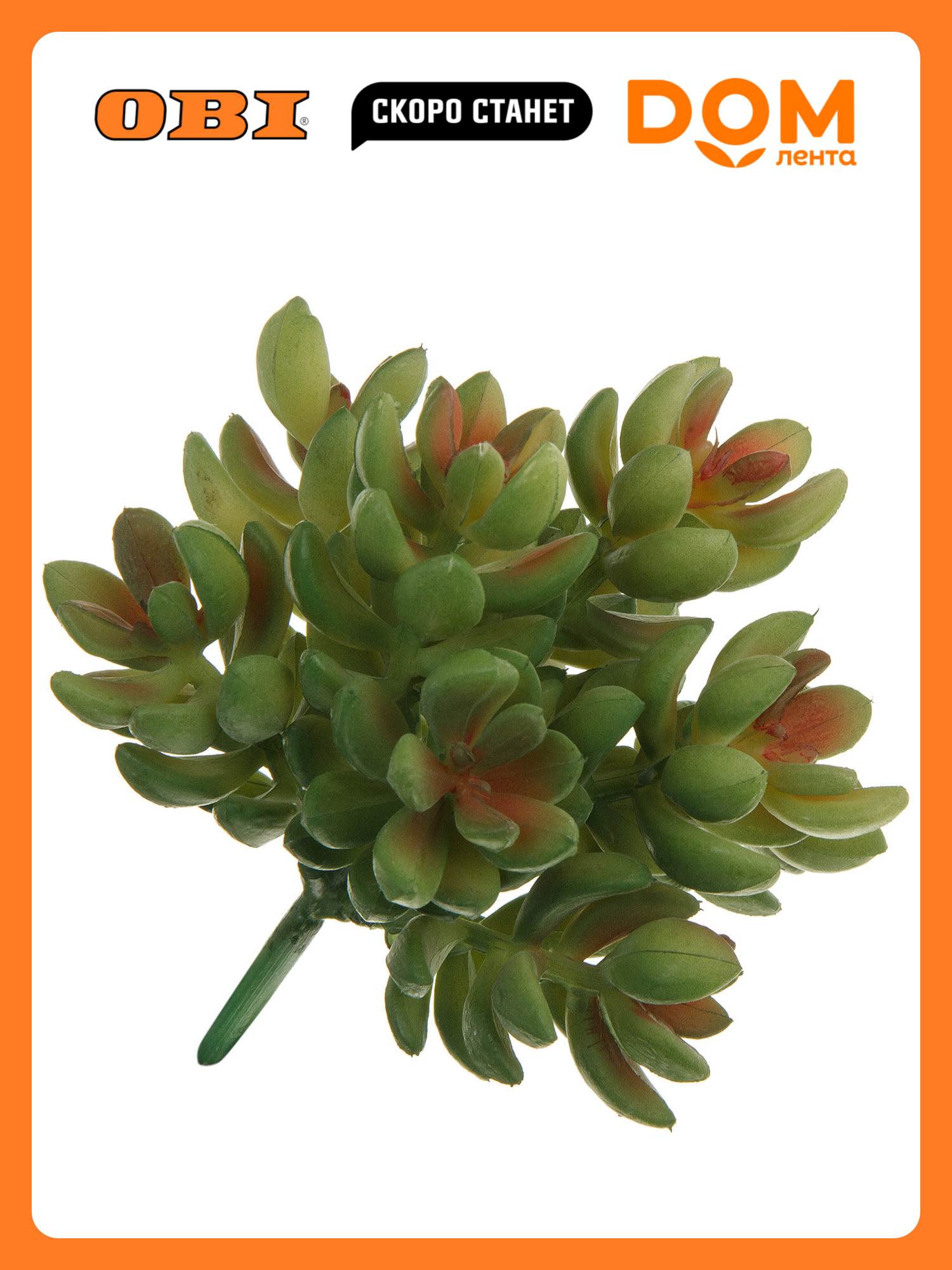 Растение искусственное Суккулент Седум красноокрашенный,12xh12 см