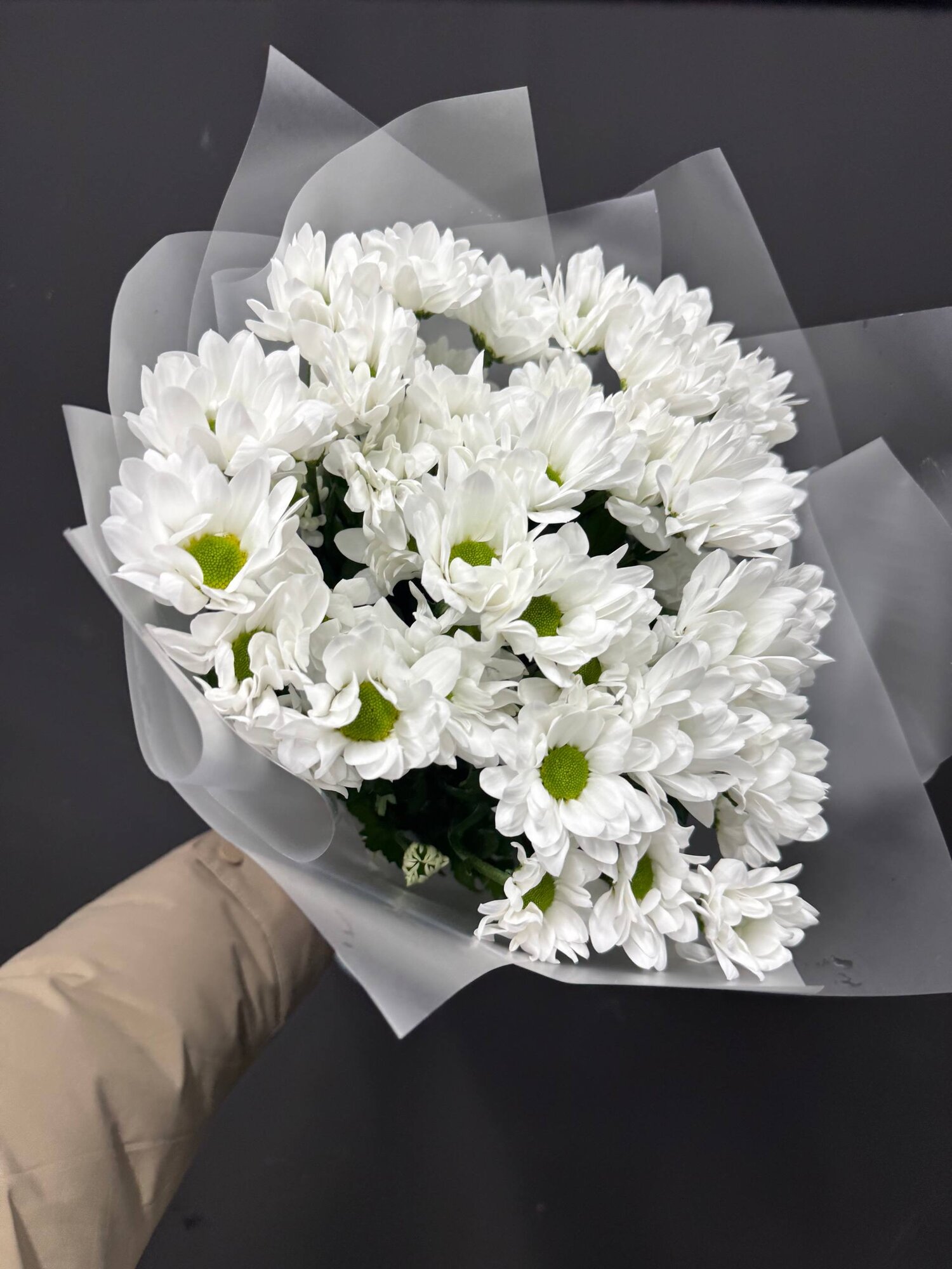 Хризантемы / Букет хризантем 5 шт / Белые хризантемы / Букет живых цветов Москва