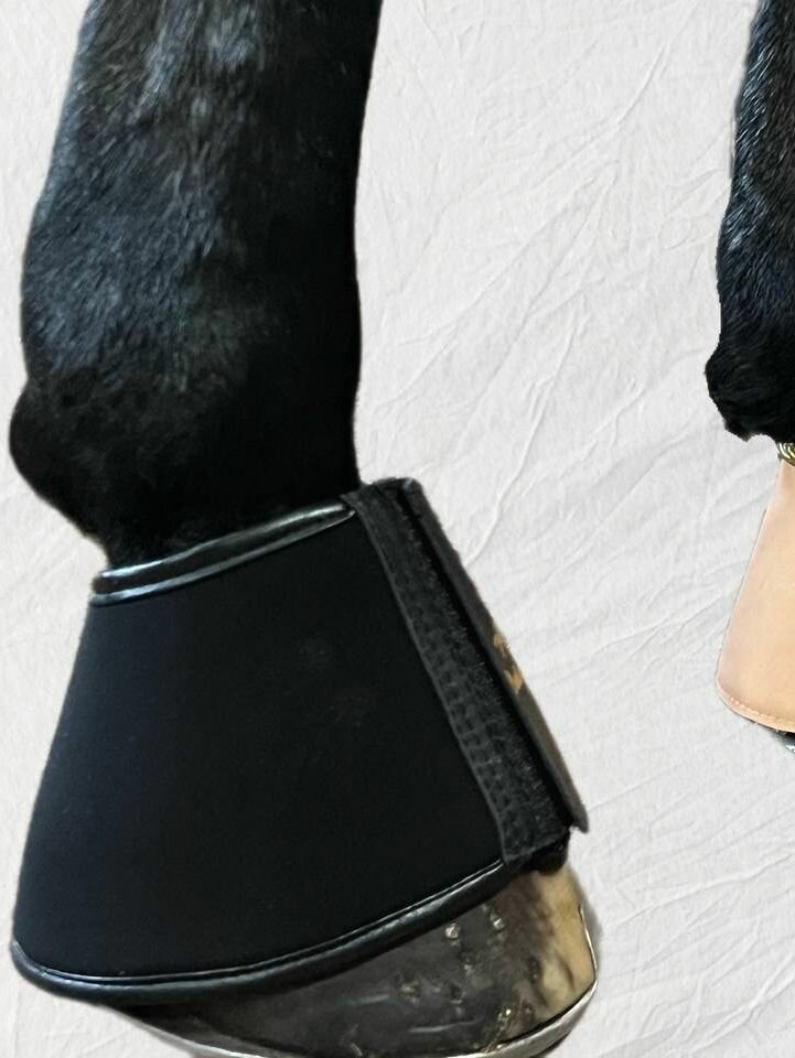 Колокольчики