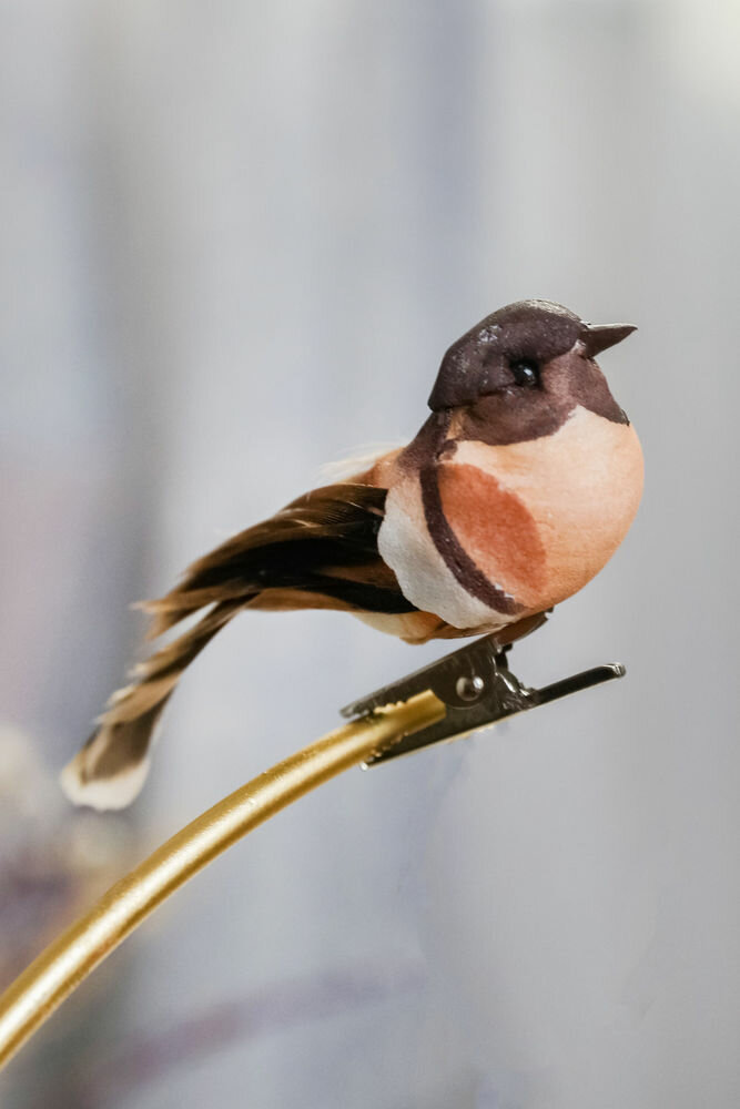 Елочная игрушка славный птах на клипсе, перо, 7 см, Goodwill MC40022