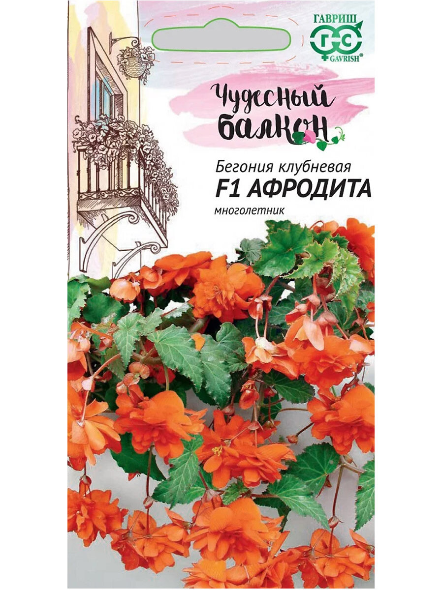 Семена Гавриш цветы Бегония, Афродита, F1, клубневая амп, многолетняя, 4 шт, гран пробирка (1071857249)