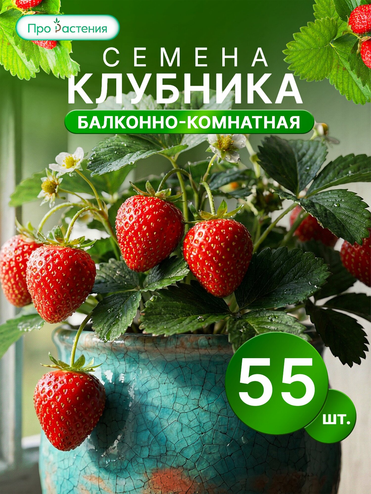 Семена Клубника 55 штук Балконно-комнатная отборные Про Растения