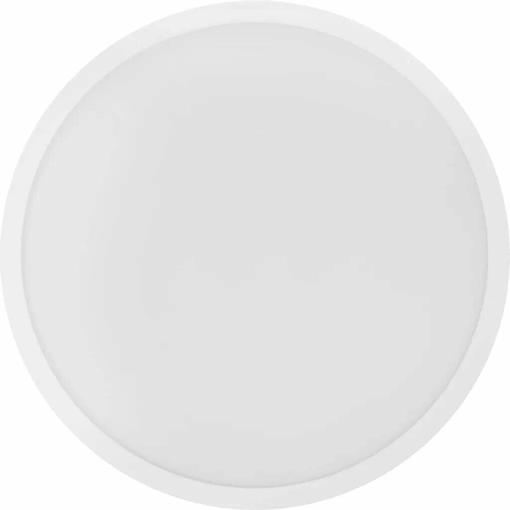 Умный светильник Ceiling Xiaomi Mi Smart LED Ceiling Light D30 потолочный (BHR9934GL)