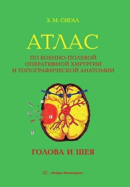 Атлас по военно-полевой оперативной хирургии и топографической анатомии: голова и шея