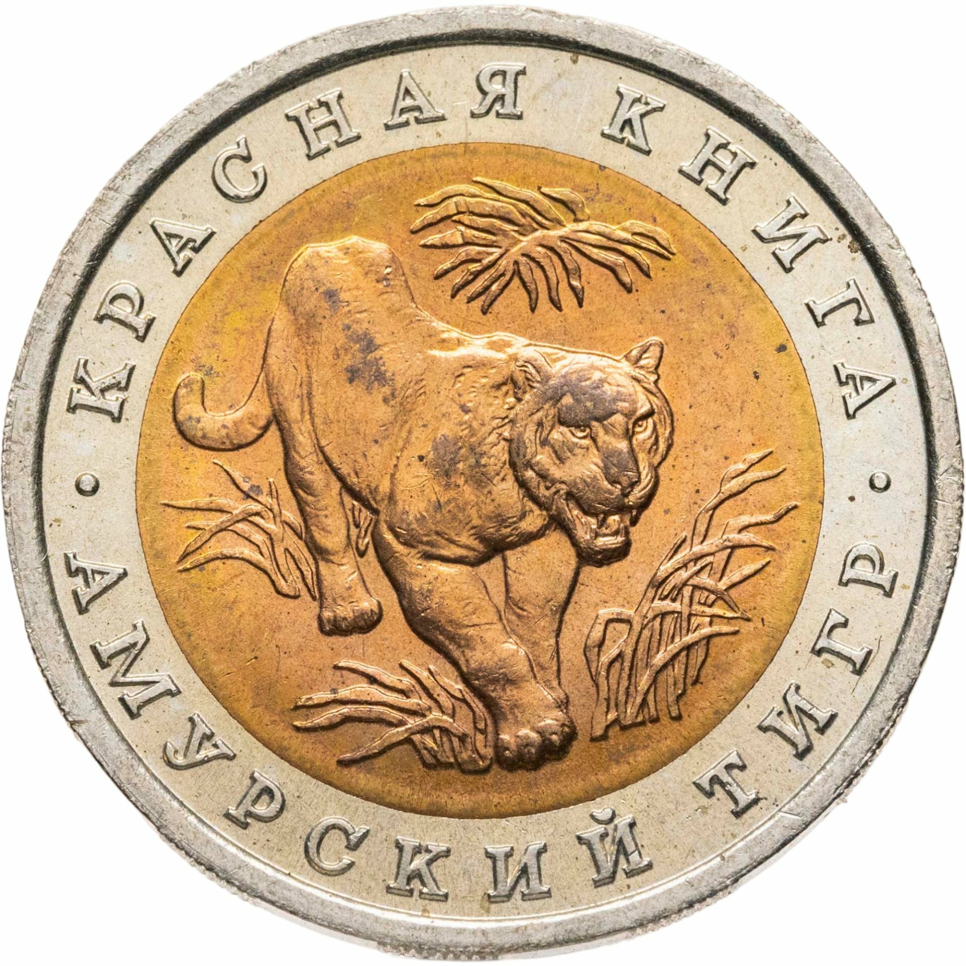 10 рублей 1992 ЛМД "Амурский тигр", Биметалл, в сохранности AU-UNC