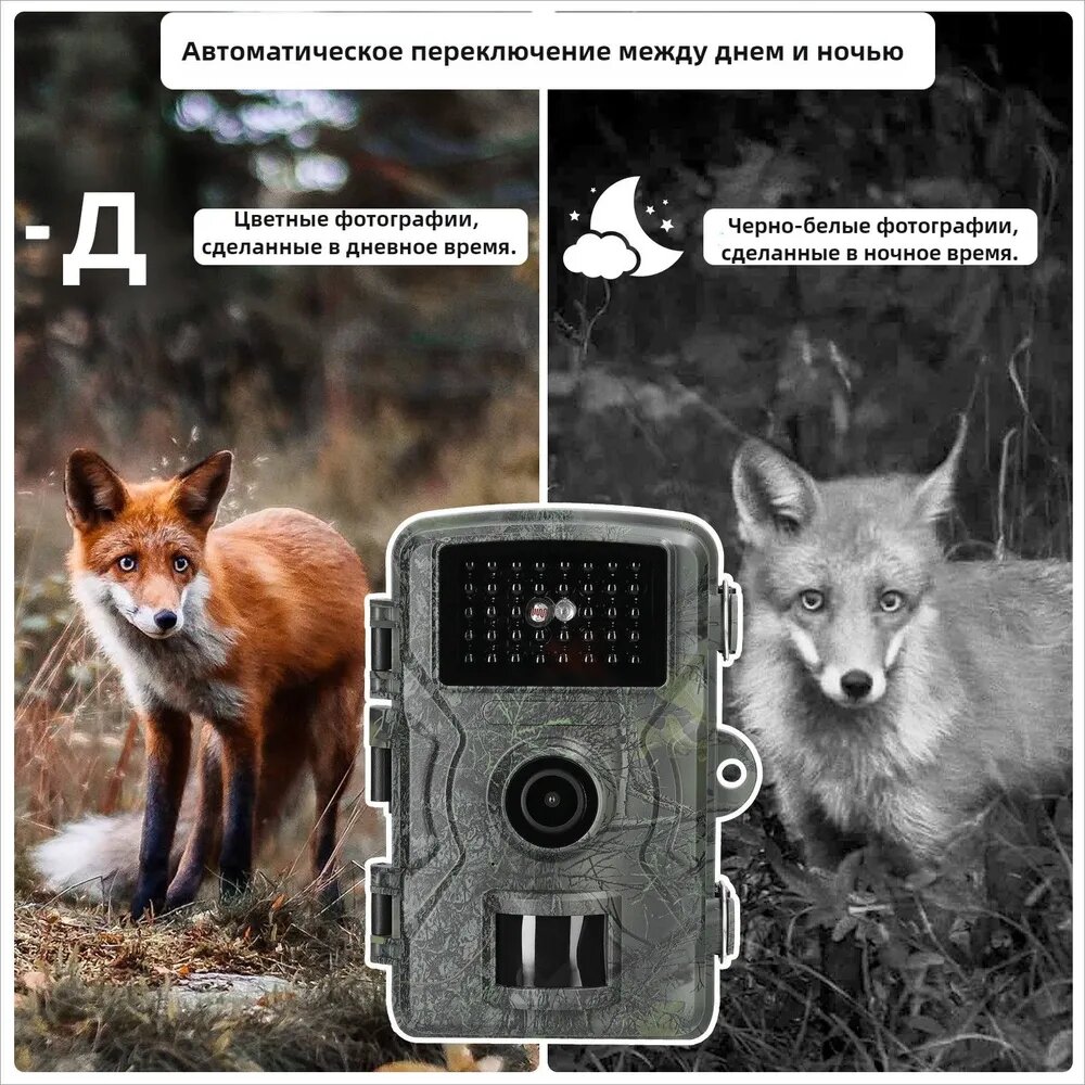 Фотоловушка — фото 1