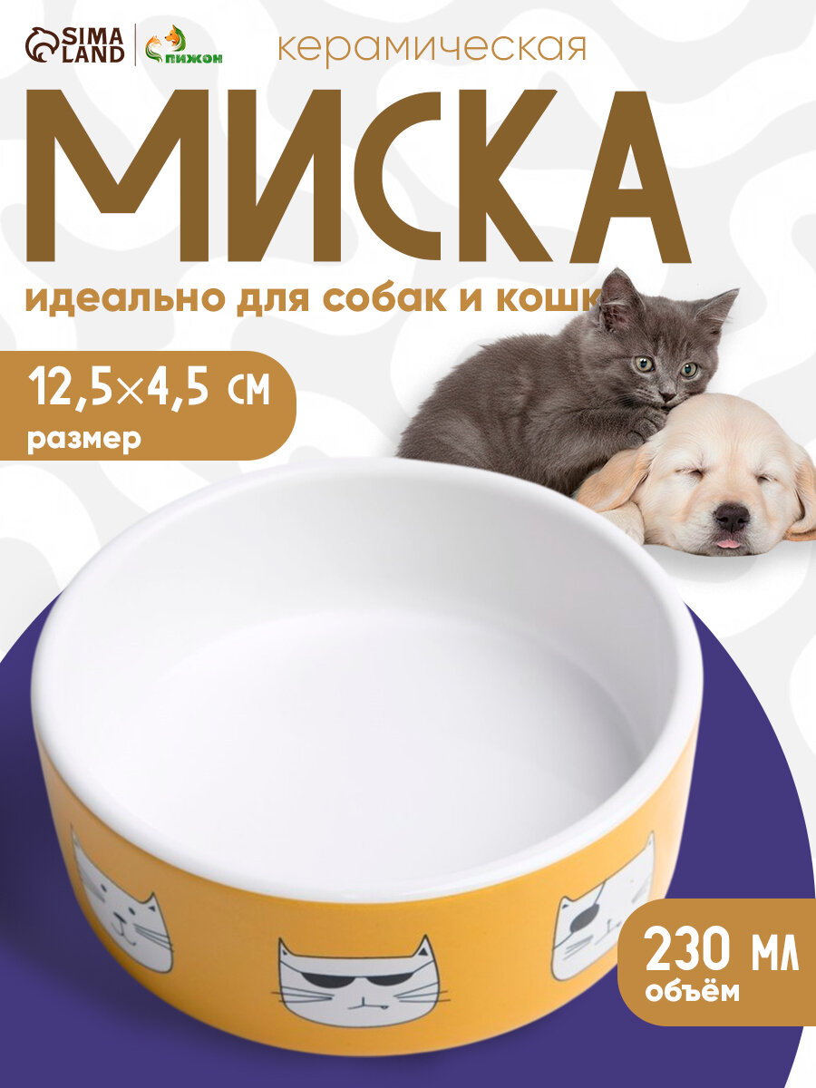 Миска керамическая "Опасные коты" 230 мл 12,5 x 4,5 cм, бело-оранжевая