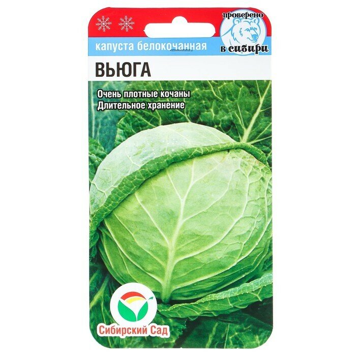 Семена Капуста 'Вьюга', 0,3 г