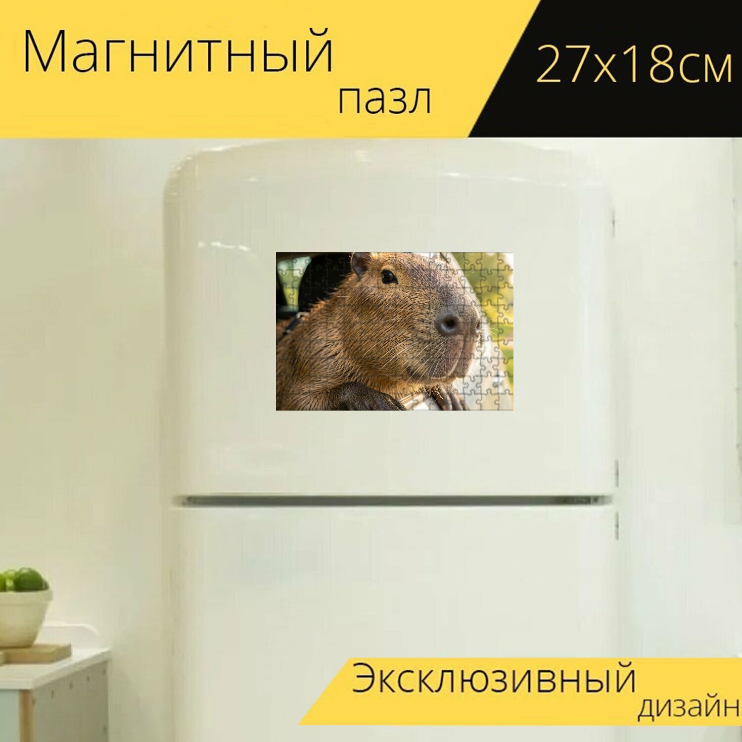 Магнитный пазл "Капибара у окна автомобиля. Крупный план милого грызуна, выглядывающего из машины, с мягкой размытостью фона и тёплым солнечным светом." на холодильник 27 x 18 см.