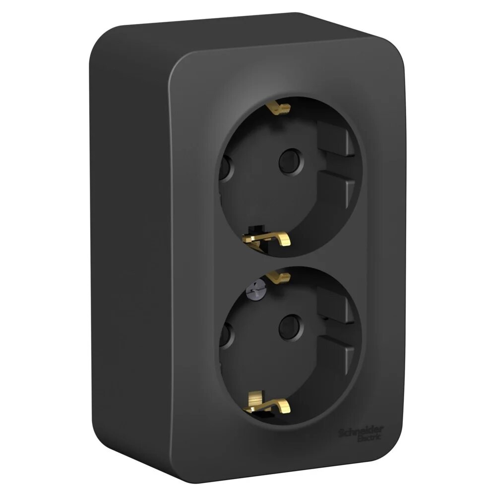 Розетка Systeme Electric Blanca о/у, двойная, с заземлением, со шторками, изол. пл, 16а, 250в, антрацит BLNRA011216
