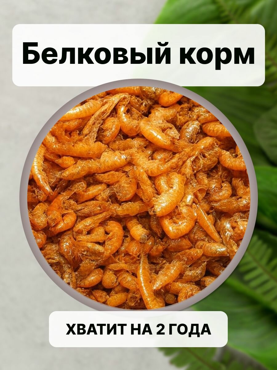 Белковый корм для муравьев жнецов, улиток, птиц, рептилий сухой