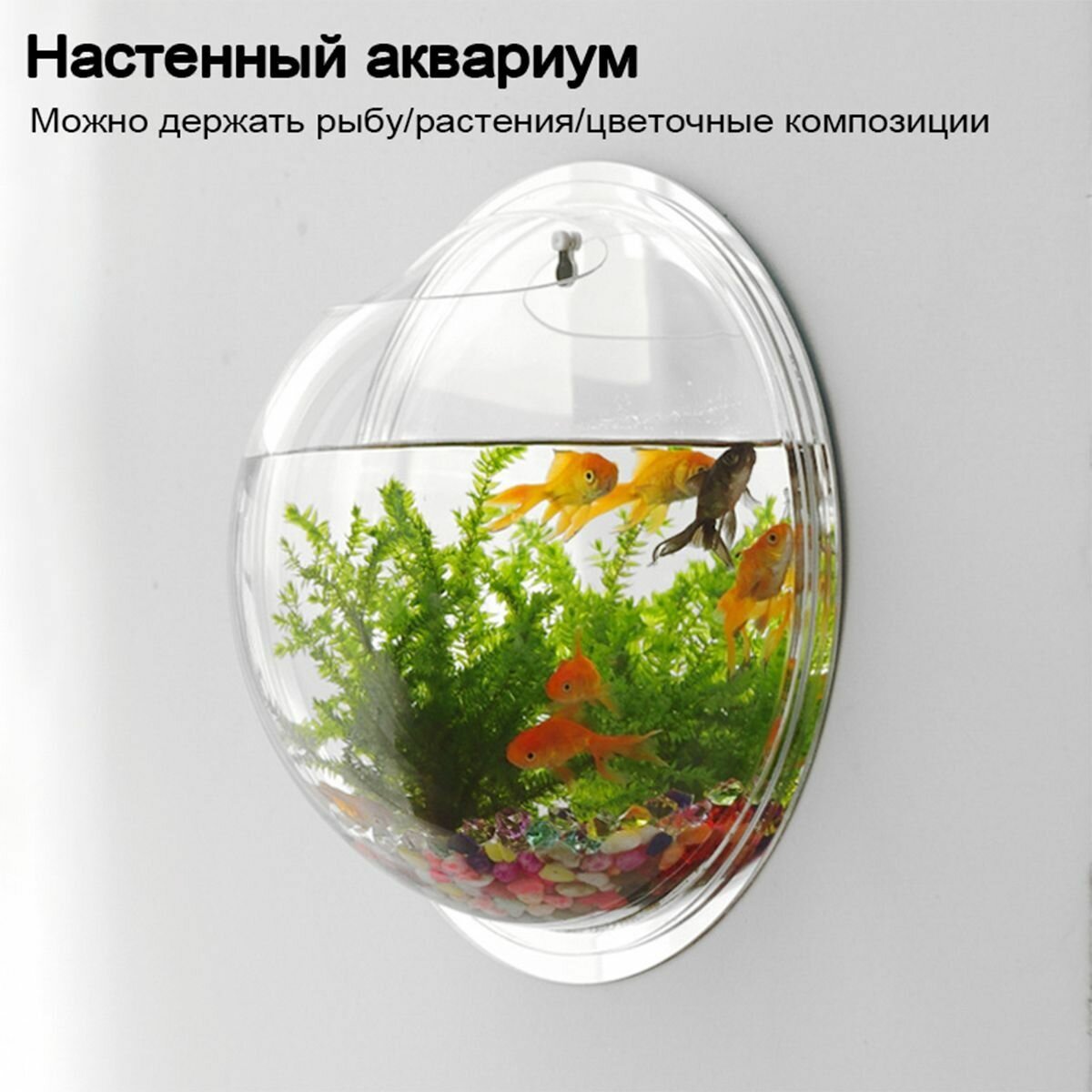 Украшение для стен настенный экологический декоративный аквариум рыб (15*15 см) -зеркальная поверхность