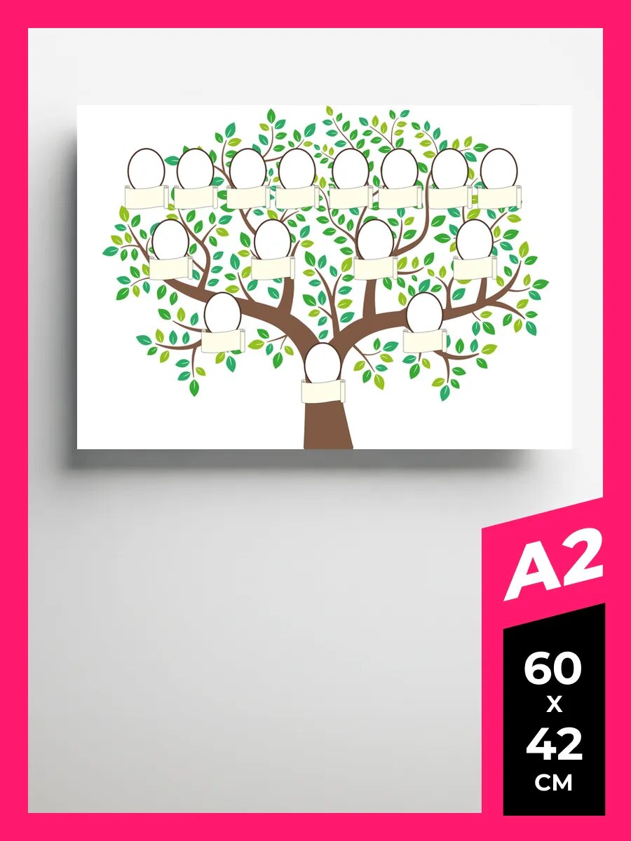 Плакат Семейное древо Постер 25 A2, матовая фотобумага премиум качества