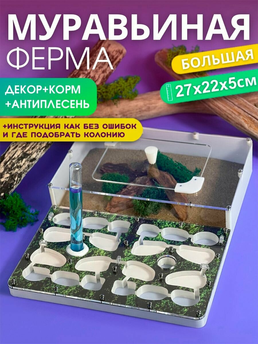 Большая муравьиная ферма AntBerry. Полный комплект. Формикарий для муравьев