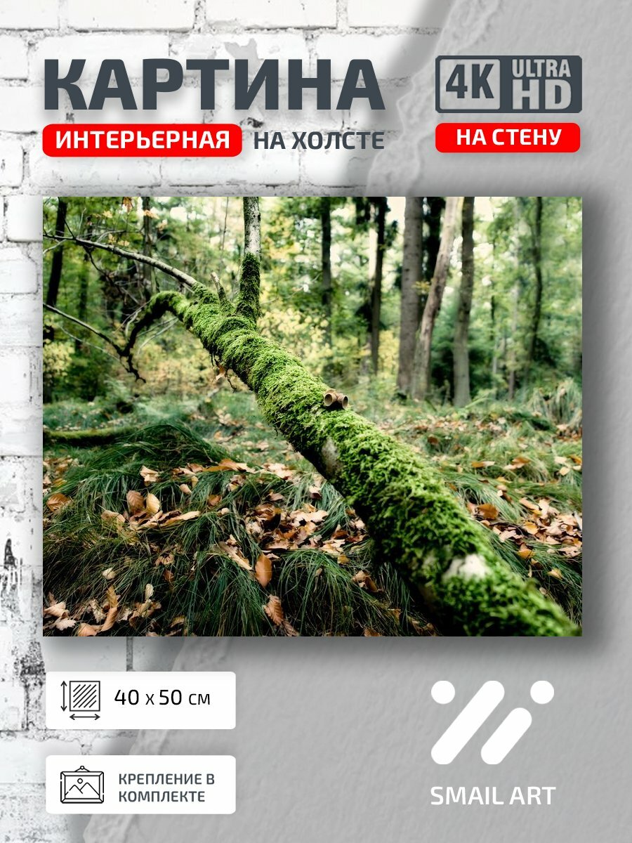 Картина на холсте интерьерная 40 на 50 на стену Лес Landscape для кабинета пейзаж интерьер