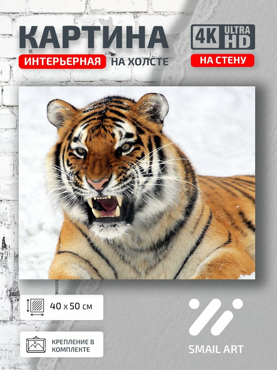 Картина на холсте интерьерная 40 на 50 на стену Зима Landscape для гостиной пейзаж интерьер