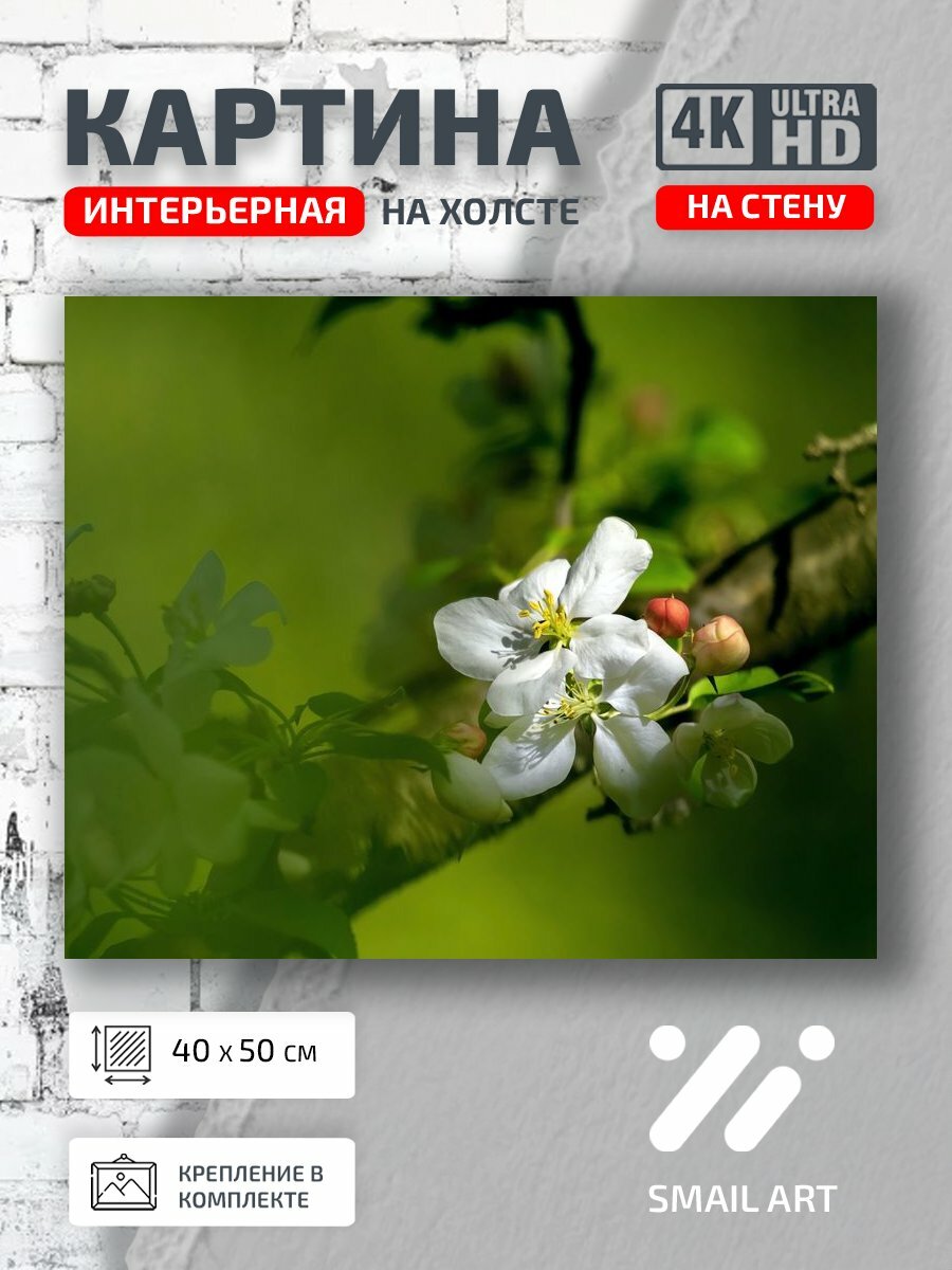 Картина на холсте интерьерная 40 на 50 на стену Весна Macro для кабинета макро интерьер
