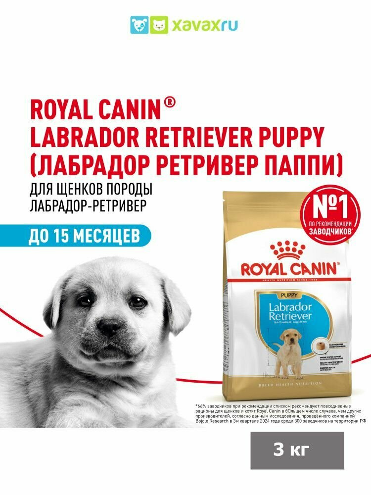 Сухой корм Royal Canin Labrador Retriever Puppy для щенков породы Лабрадор Ретривер до 15 месяцев, 3 кг
