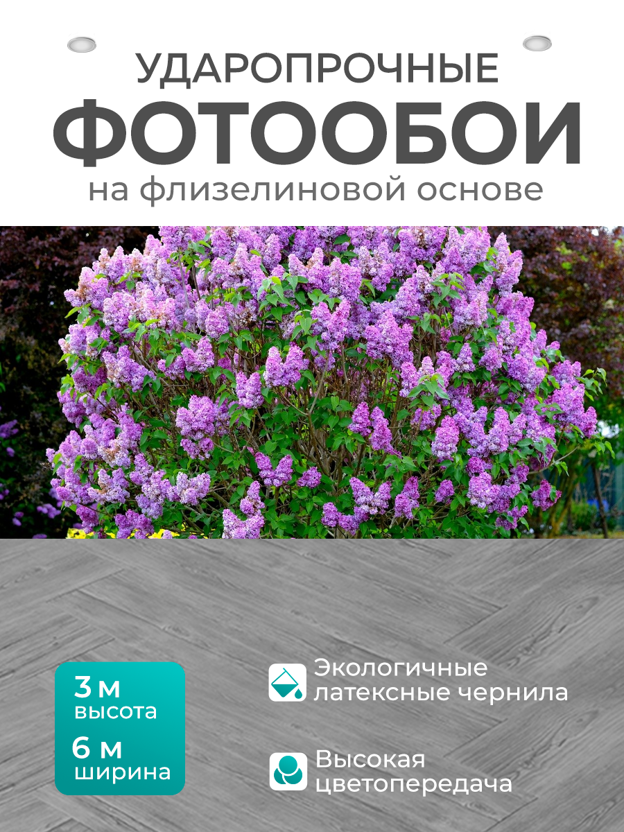 Фотообои моющиеся ударопрочные "Куст сирени, декоративный кустарник, сирень" 600x300 см. флизелиновые на стену