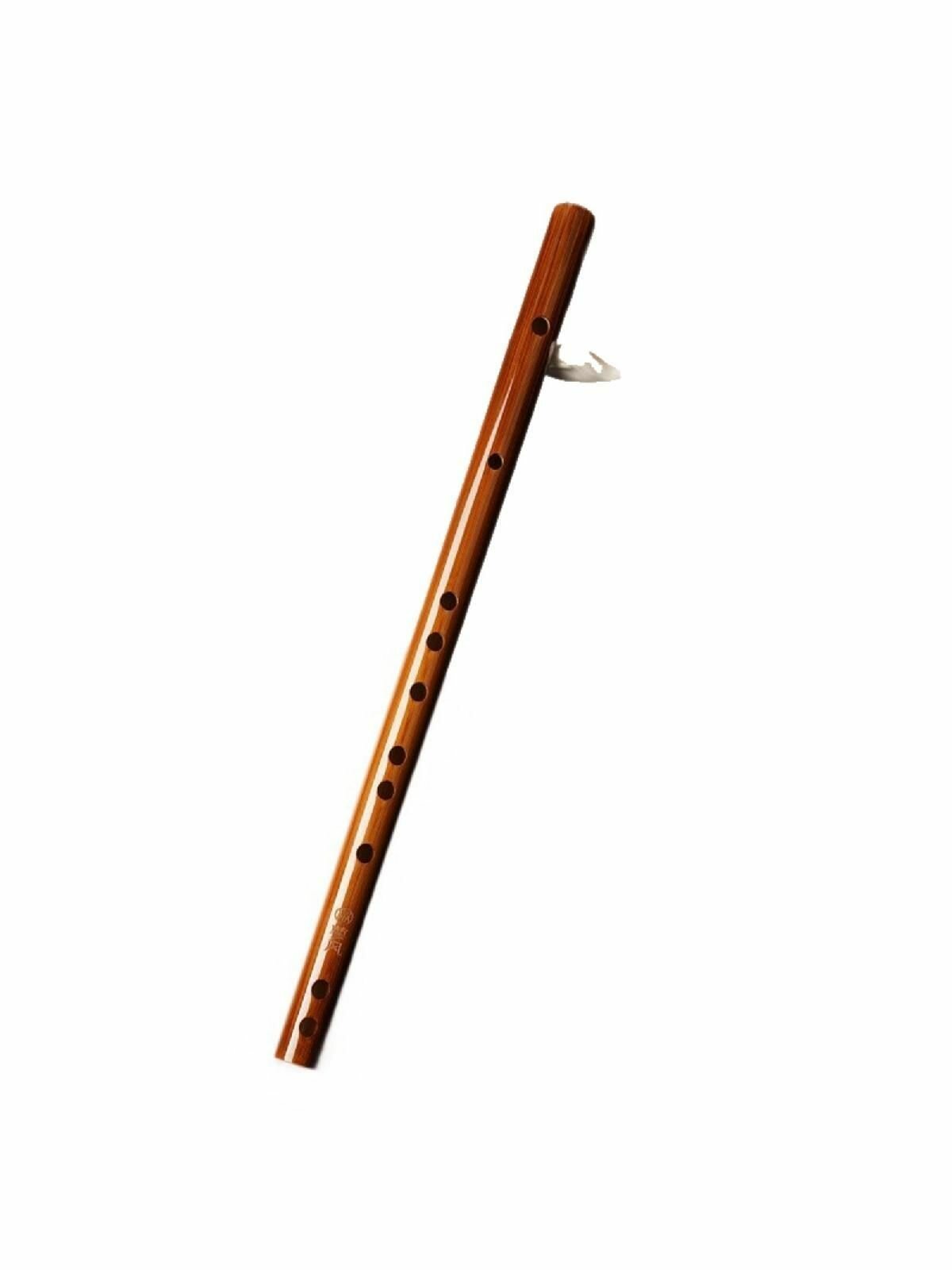 Дудка для начинающих - тональность G