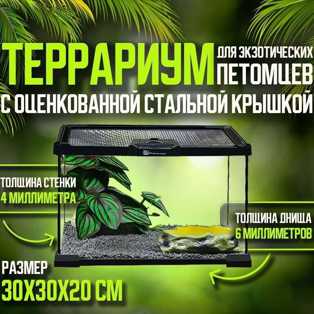 Террариум
