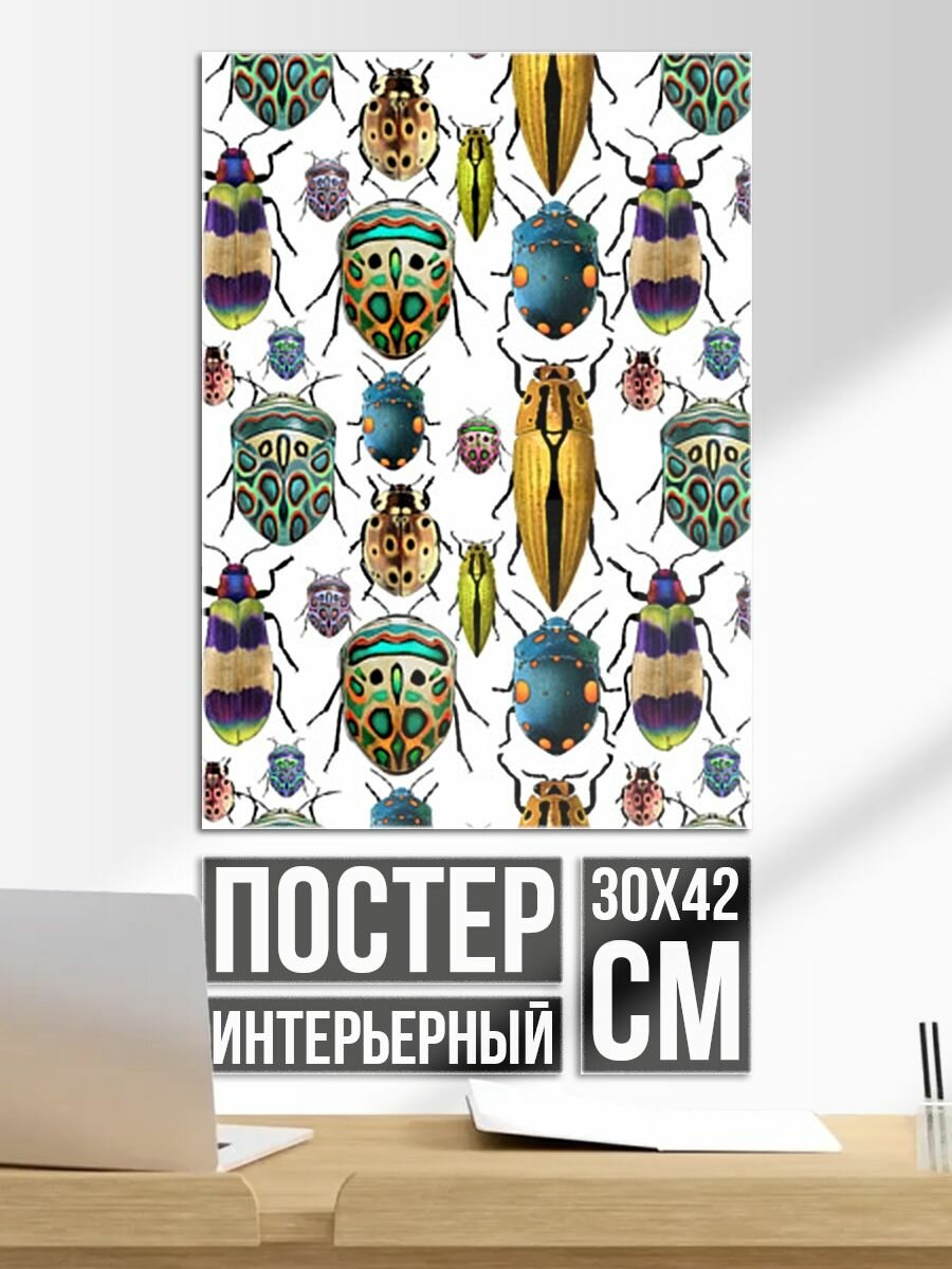 Постер на стену Кислотные жуки