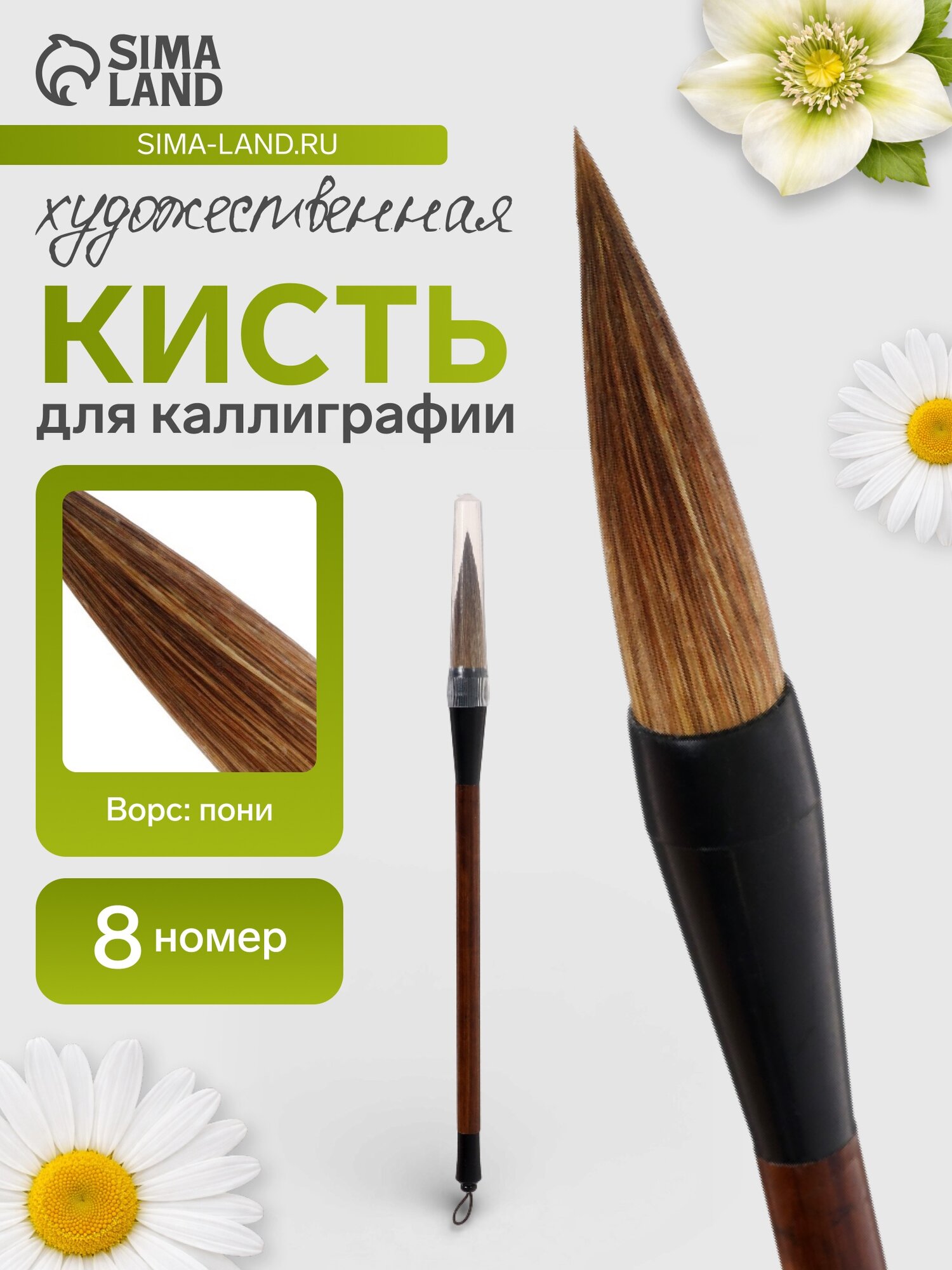 Кисть для каллиграфии, коза, № 8, круглая, деревянная ручка, в блистере