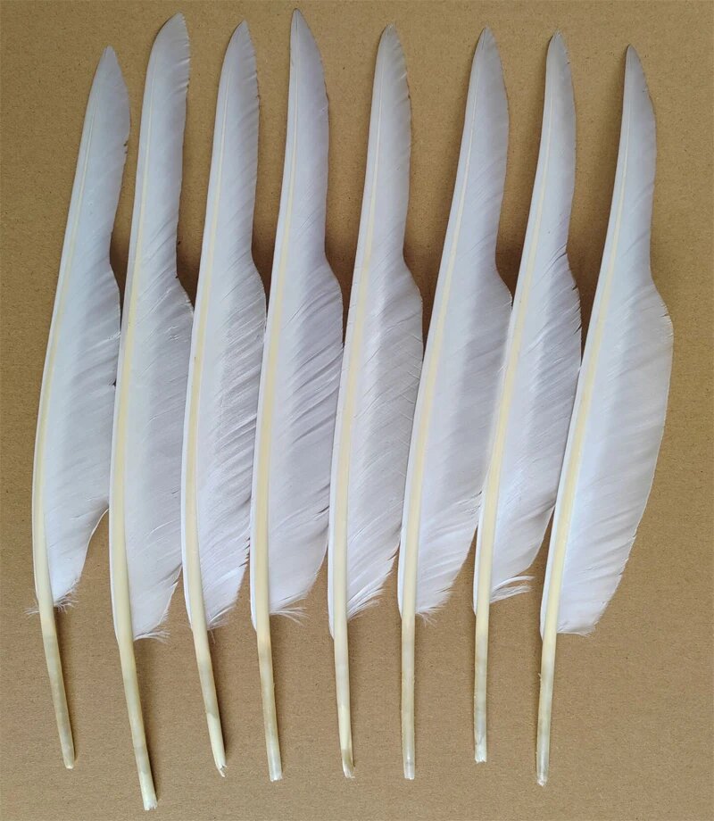 Белые гусиные перья для рукоделия 100 шт. right side
