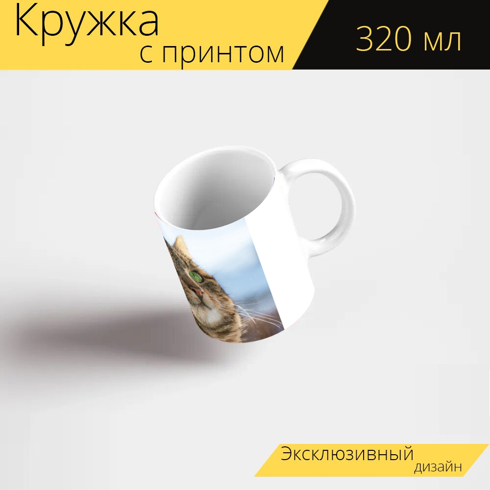 Кружка с рисунком, принтом "Кот, стеклянная панель, зеленые глаза" 320 мл.