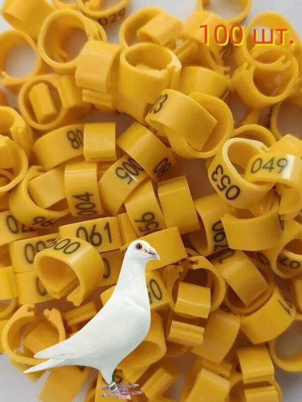 100 шт. Меточные кольца для птиц 8мм , маркировка для голубей, Меточные кольца