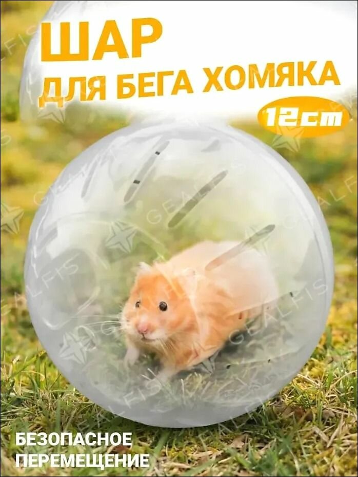 Шар прогулочный для хомяка, грызуна, мышей, крыс, 12 см, прозрачный