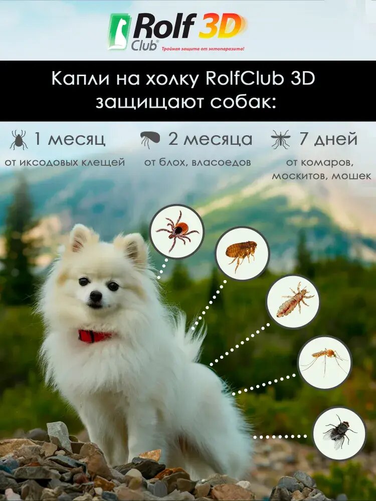 Rolf Club 3D Капли от клещей и блох для собак (до 4 кг.) 3 пипетки — фото 1