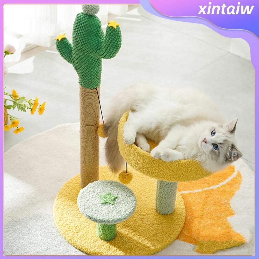 Кошачье дерево, кактус, многофункциональное, для игр и отдыха