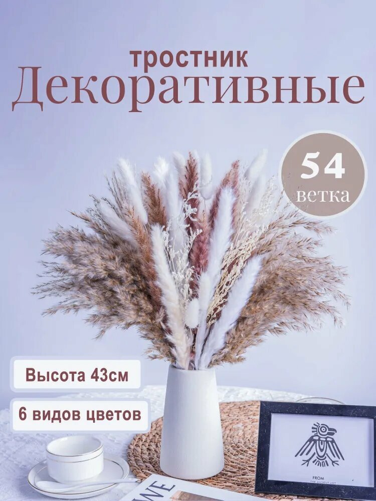 Сухоцветы Пампасная трава, 43 см, 100 гр, 54 шт