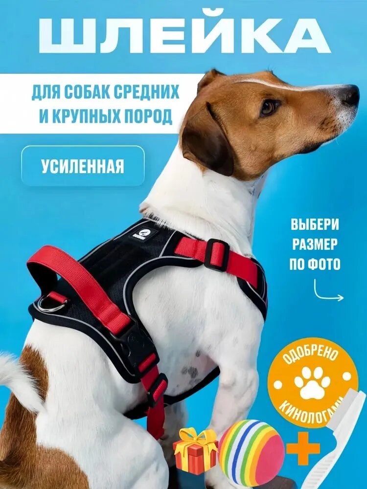 Шлейка для собак анатомическая