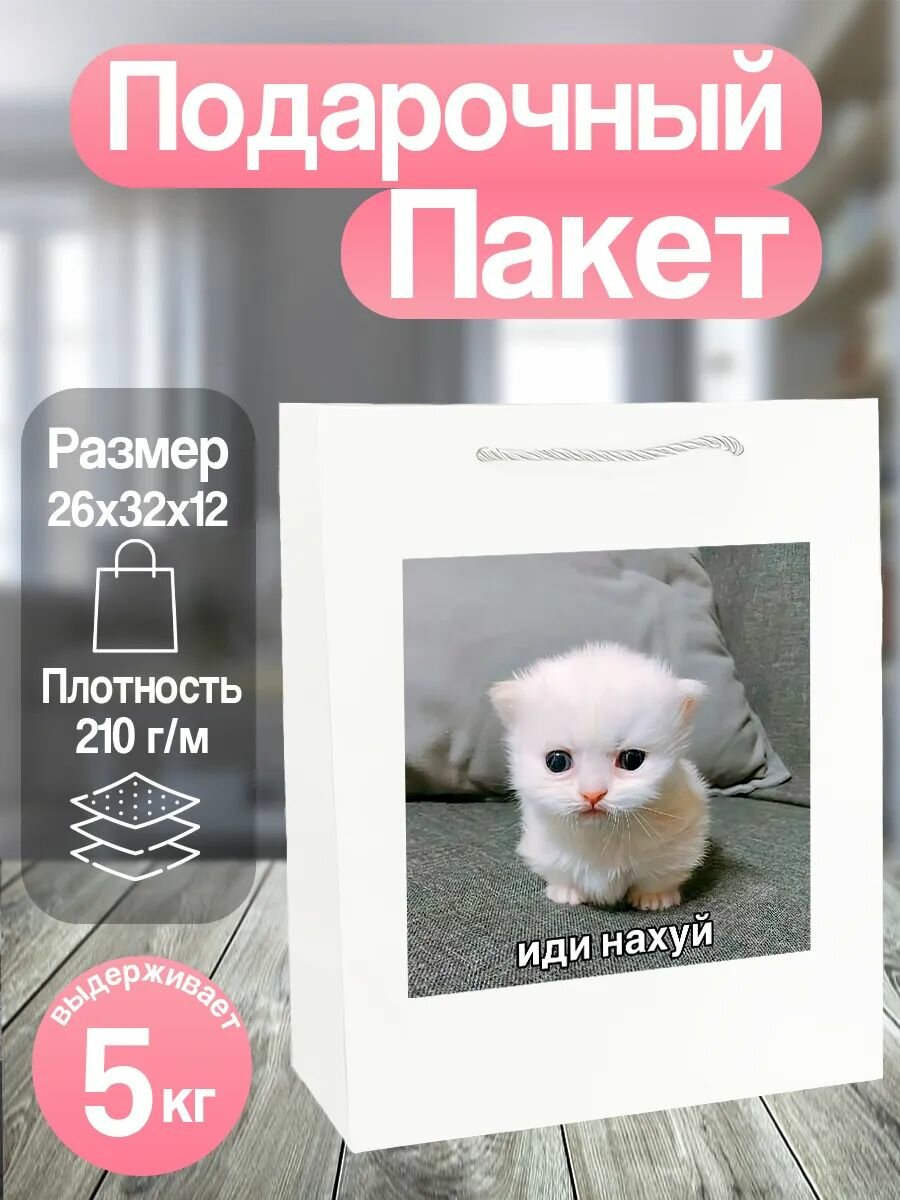 Пакет подарочный мем котики