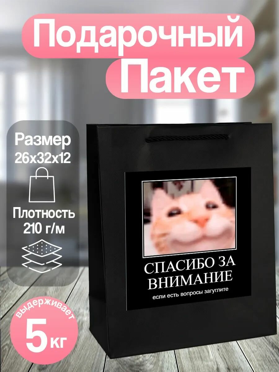 Пакет подарочный мем котики