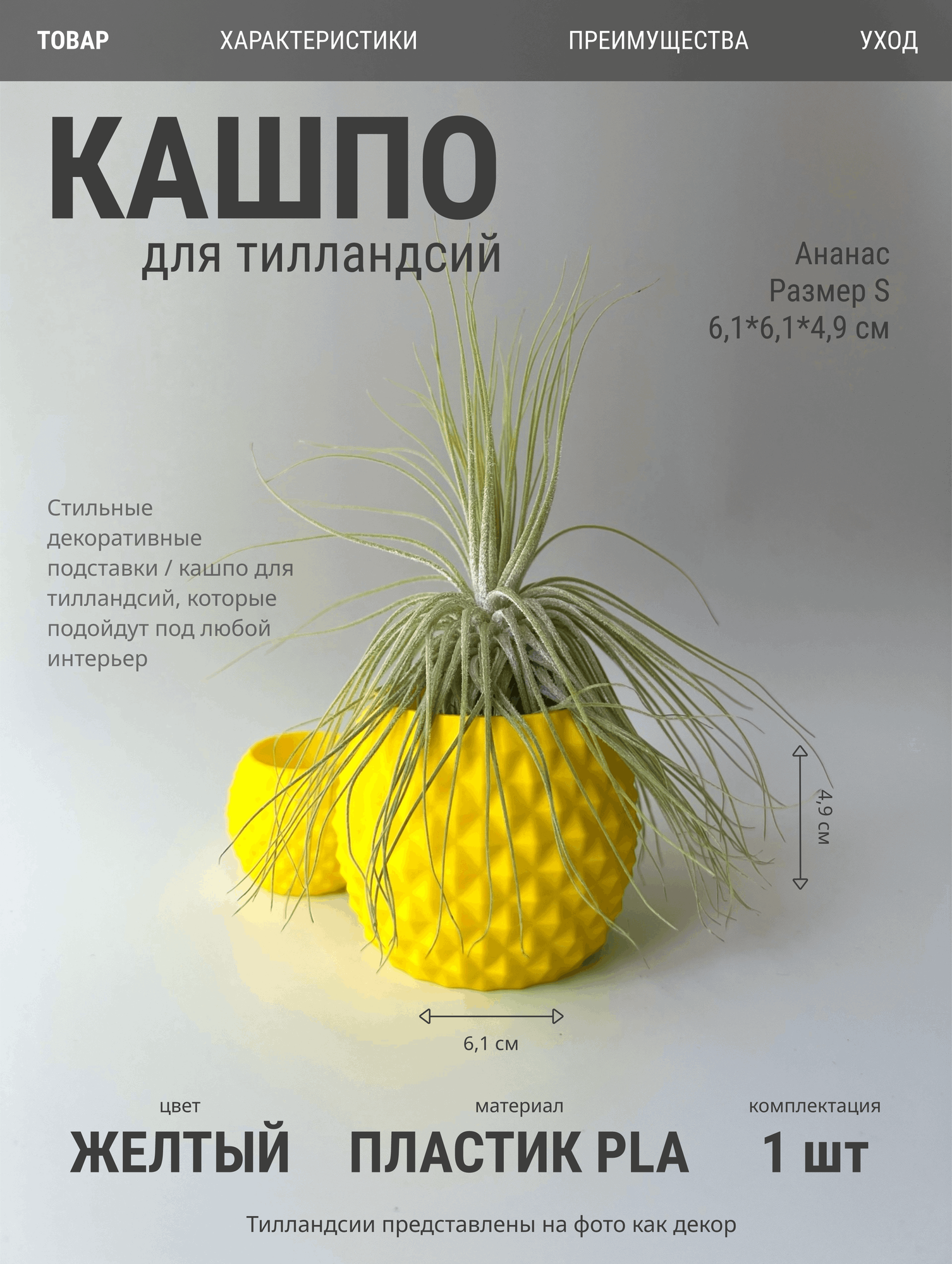 Подставка для тилландсий "Ананас", S