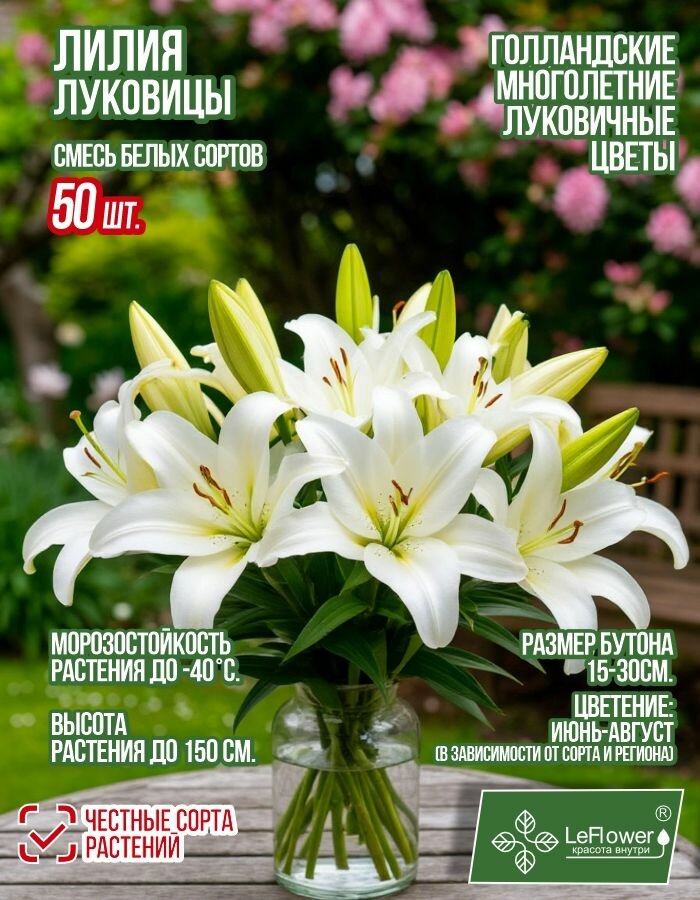 Лилия Луковица, Микс белых сортов, 50шт