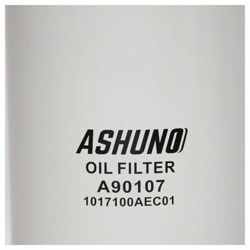 Фильтр масляный HAVAL F7/ F7x/ H9/ H6 Coupe/ H8 (бенз 2.0T)/ Geely Atlas 1.8T/ VAG ASHUNO A90107