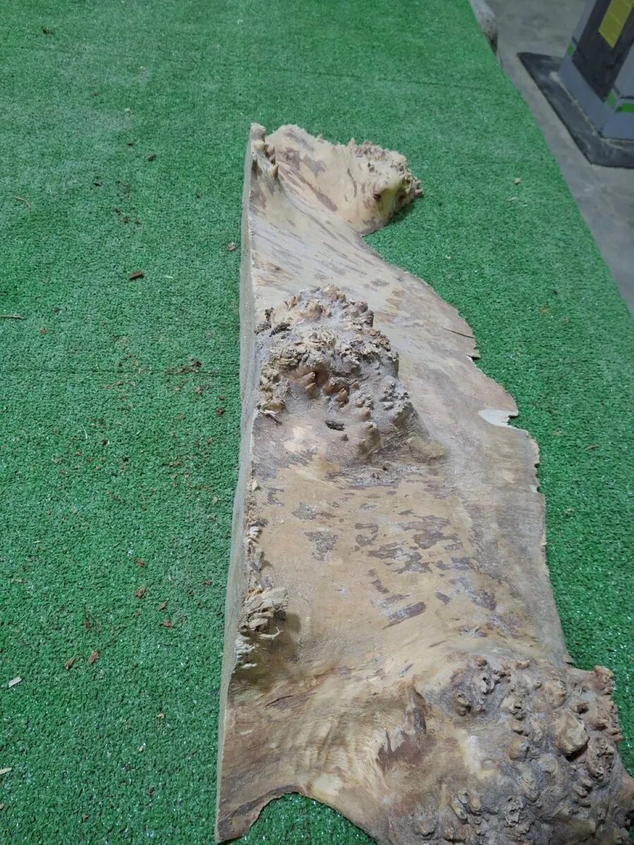 Слэб массив каповый тополь (800-250-140 мм)