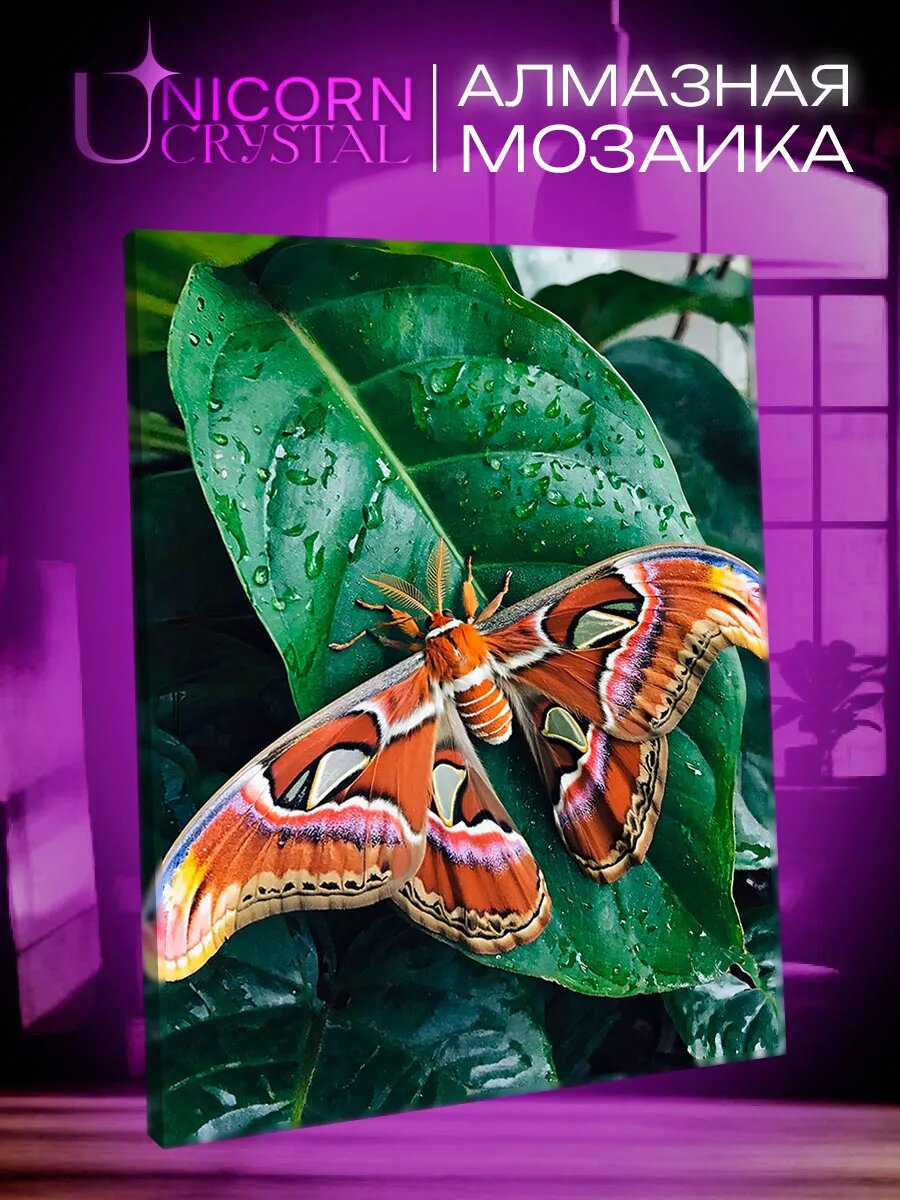 Алмазная мозаика Бабочка